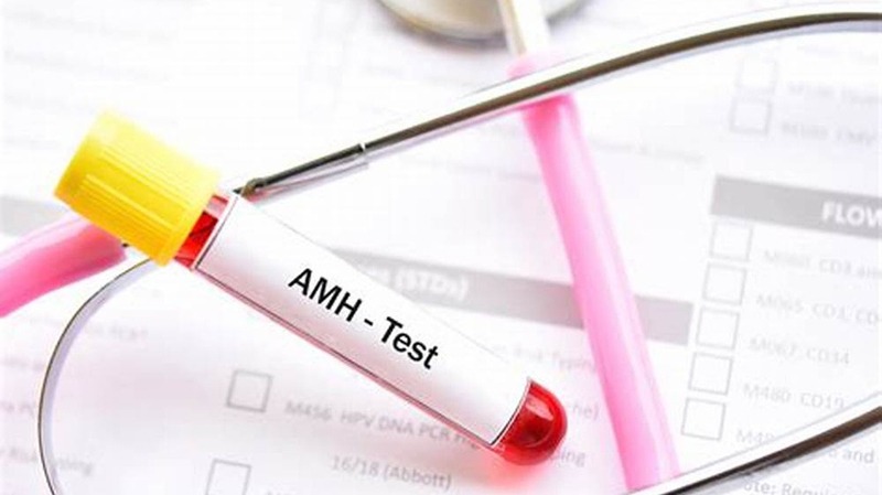 AMH chỉ 0.54, nang trứng còn 8 nang, giờ nên làm gì?