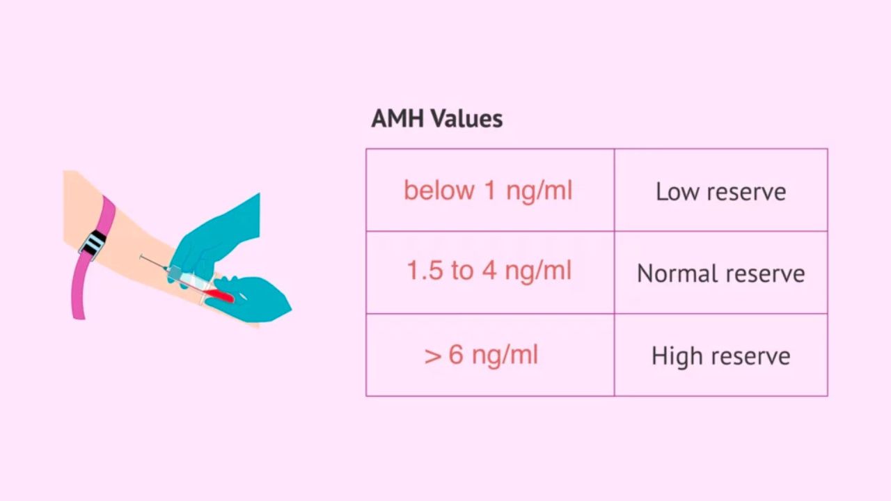 AMH 1.03 giờ nên làm gì để có con?